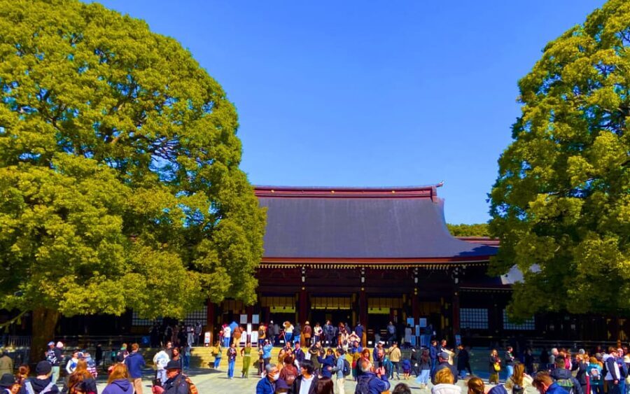 Harajuku : Blend of Tradition & Pop Culture for Family Tour - What Makes This Tour Stand Out?