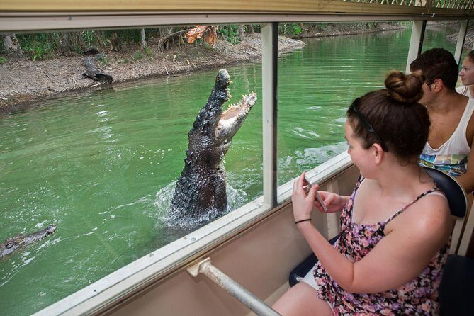 Hartley's Crocodile Adventures Day Trip from Cairns - The Experience from the Reviews
