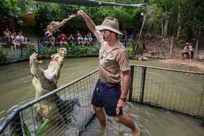 Hartley's Crocodile Adventures Day Trip from Palm Cove - Who Would Love This Tour?