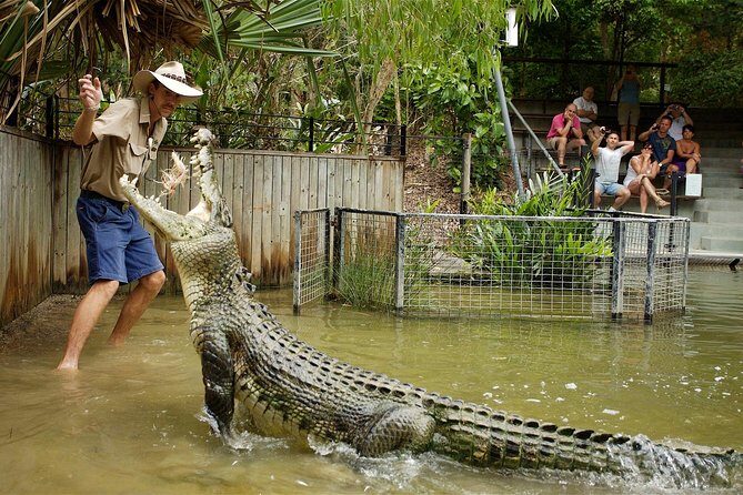 Hartleys Crocodile Adventures Half-Day Tour from Cairns - An In-Depth Look at the Tour