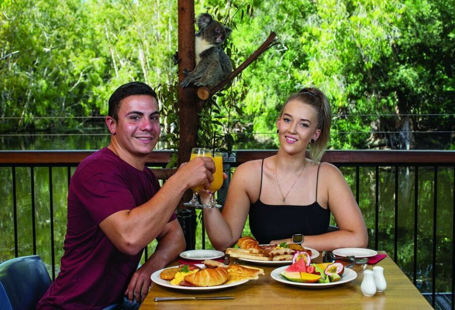 Hartley's Crocodile Adventures: Hartley's Koala Breakfast - Final Thoughts: Is It Worth It?