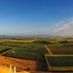 Hastings: Bridge Pa/Gimblett Winery Tour on a Regular Bike - FAQs