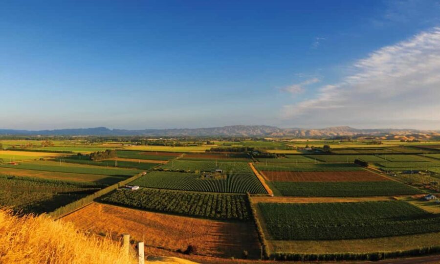 Hastings: Bridge Pa/Gimblett Winery Tour on a Regular Bike - FAQs