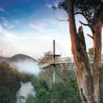 Hastings Caves, Tahune Airwalk and the Huon Tasting Trail - In The Sum Up: Who Will Love This Tour?