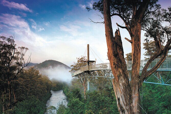 Hastings Caves, Tahune Airwalk and the Huon Tasting Trail - In The Sum Up: Who Will Love This Tour?