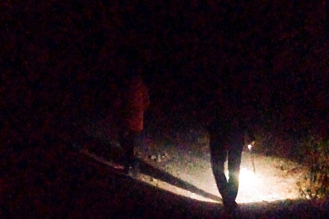 Haunted walk - What We Loved About the Tour
