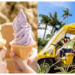 Have Fun in OKINAWA Pass (1 Week Free Pass) - The Attractions and Experiences Included