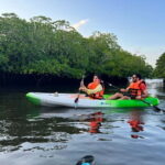 Havelock: Bioluminescence and Mangrove Kayaking Tour - Why This Tour Stands Out