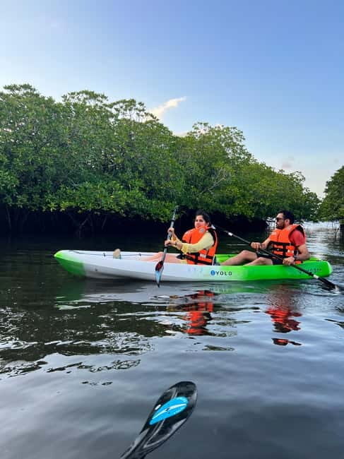 Havelock: Bioluminescence and Mangrove Kayaking Tour - Why This Tour Stands Out