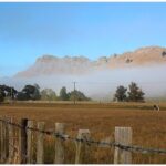 Hawkes Bay - Scenic, luncheon, wine Tour - The Sum Up: Is This Tour Right for You?