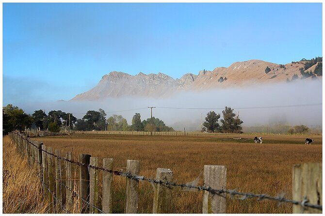 Hawkes Bay - Scenic, luncheon, wine Tour - The Sum Up: Is This Tour Right for You?