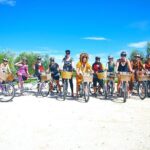 Hawkes Bay Wineries Self-Guided Bike Tour - Analyzing the Value