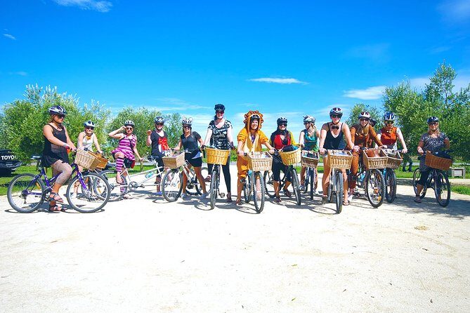Hawkes Bay Wineries Self-Guided Bike Tour - Analyzing the Value