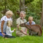 Healesville Sanctuary: General Admission Ticket - What Makes Healesville Sanctuary Special?