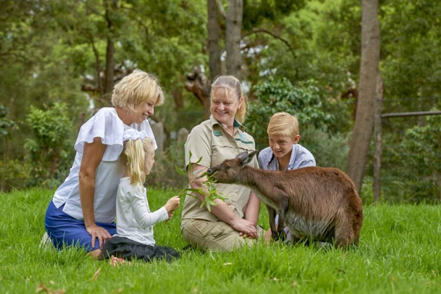 Healesville Sanctuary: General Admission Ticket - What Makes Healesville Sanctuary Special?