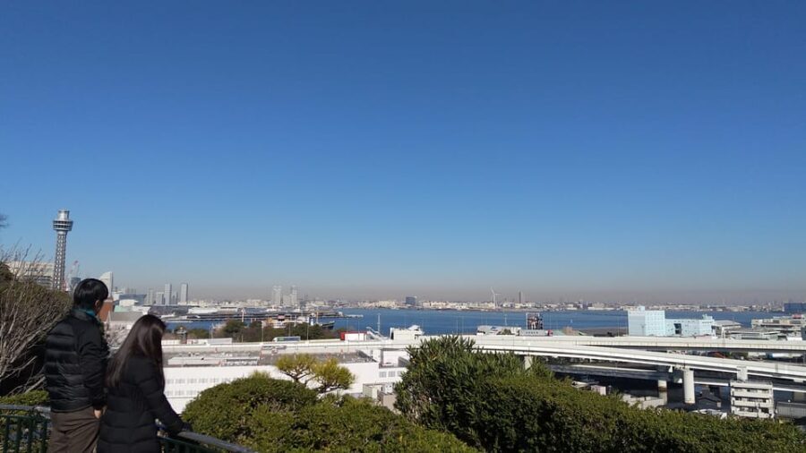 "Heart of Yokohama" Walking: Experience Hill Area - Why This Tour Offers Real Value