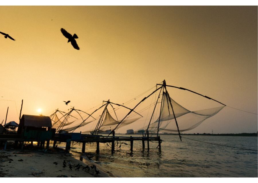 Heritage & Cultural Walk of Kochi (2 Hours Guided Tour) - The Review Spectrum: What Travelers Say