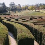 Herons Creek: Bago Maze Entry Ticket - The Food, Drink, and Relaxation Options