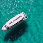 Hervey Bay: Half Day Whale watching & Island Stop Tour - The Value of Small Group Whale Watching