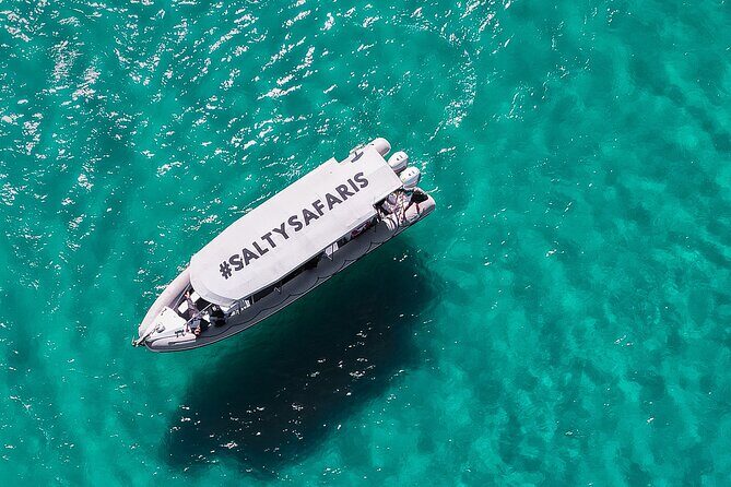 Hervey Bay: Half Day Whale watching & Island Stop Tour - The Value of Small Group Whale Watching