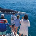 Hervey Bay Overnight Whale Watching Cabin Hire - The Value of the Experience