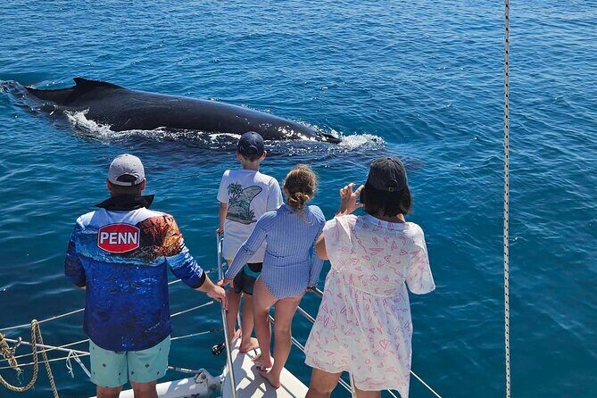 Hervey Bay Overnight Whale Watching Cabin Hire - The Value of the Experience
