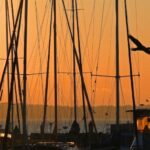 Hervey Bay: Relaxing Sunset Cruise with Champagne and Prawns - The Value and Who It’s For