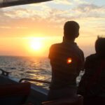 Hervey Bay: Ultimate Whale Watching Experience - Why This Tour Is Valuable for Travelers