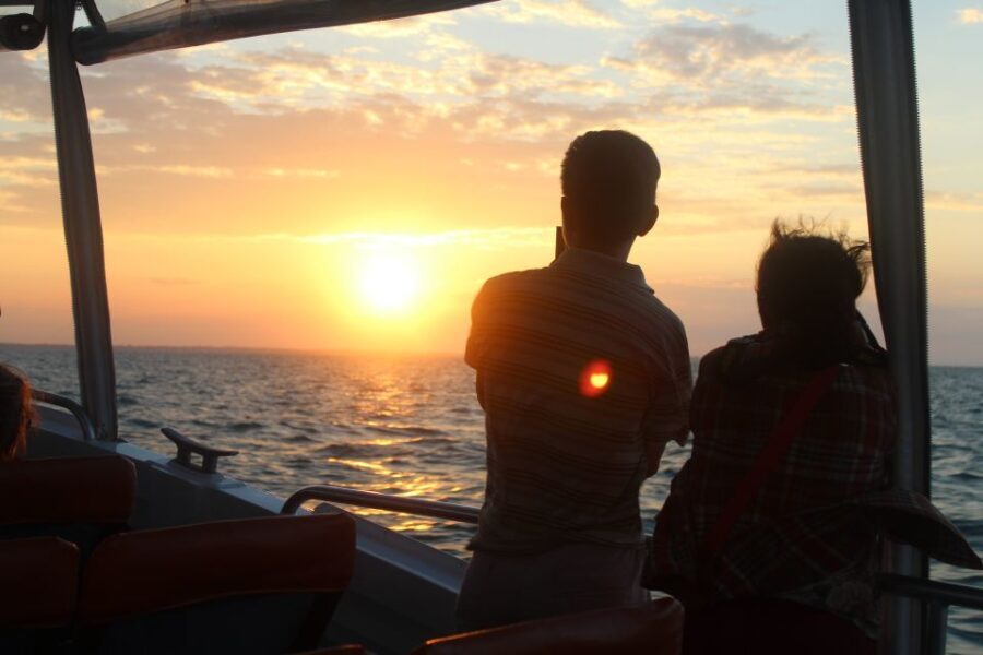Hervey Bay: Ultimate Whale Watching Experience - Why This Tour Is Valuable for Travelers