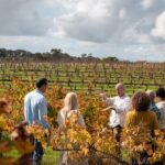 Hidden Gems: Full-Day Wine, Scones, Lunch and Local Produce Tour - FAQs