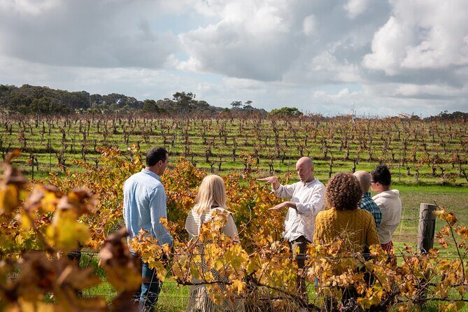 Hidden Gems: Full-Day Wine, Scones, Lunch and Local Produce Tour - FAQs