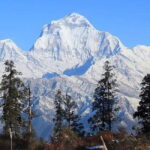 Hidden Himalayas: 8-Day Mohare Danda Trek via Nagi Village - What You Can Expect on the Mohare Danda Trek