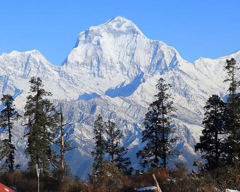 Hidden Himalayas: 8-Day Mohare Danda Trek via Nagi Village - What You Can Expect on the Mohare Danda Trek