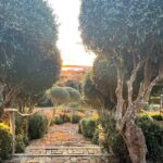 High End Sommelier Tour on Waiheke Island - What Travelers Say: Authentic Perspectives
