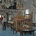 Highlights of Cochin: Group Tour from Cochin Port - What Travelers Say