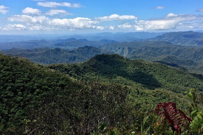 Hiking Adventure including Fiji's Highest Mountain and 3 Nights - An In-Depth Look at the 4-Day Itinerary