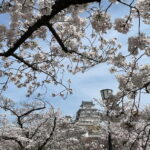Himeji: visit the castle and Engyoji temple from Osaka - Why This Tour Is Worthwhile