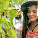 Hinterland Heritage Wine Tour - Who Will Love This Tour?