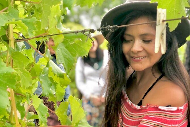 Hinterland Heritage Wine Tour - Who Will Love This Tour?