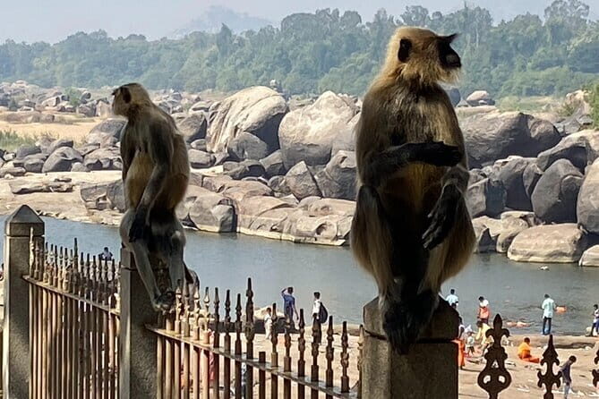 Hire a Licensed Guide for Fullday Hampi visit with own transport - Who Will Love This Tour?