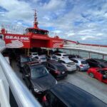 Hire a Personal Local Driver per Day, Explore Auckland in Comfort - Who Should Book This Experience?