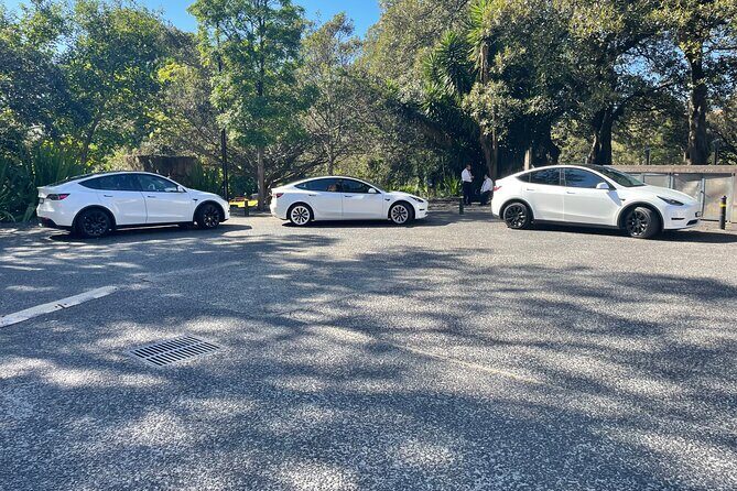 Hire Car and Limousine Service - Who Would Benefit Most?