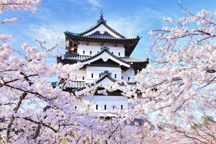 Hirosaki 4hr Private Tour with Government-Licensed Guide - Authentic Experiences and Honest Considerations