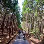 Hiroshima Country Cycling: Explore Rural Life 1 HR from City - The Itinerary in Detail