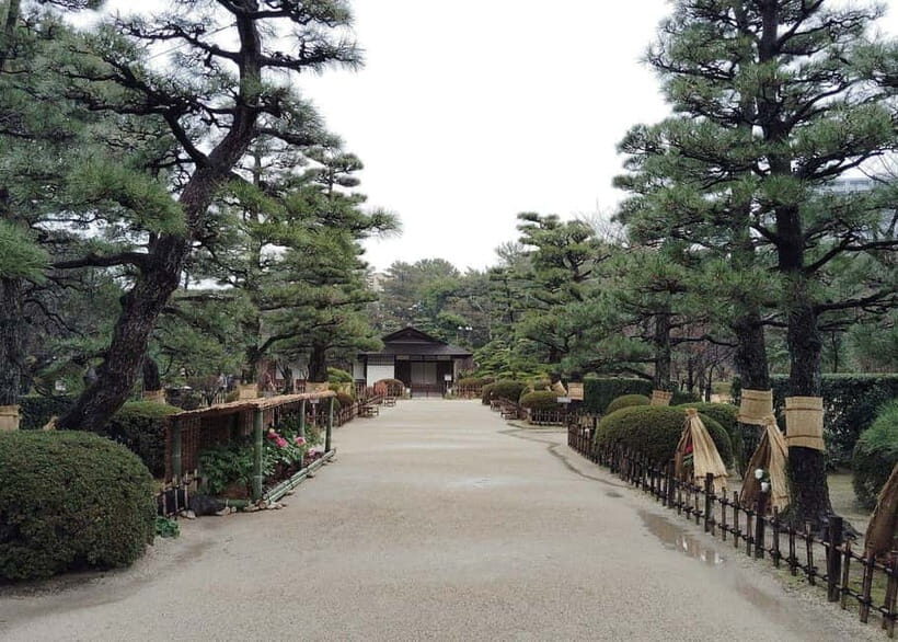Hiroshima: Island Exploration & Spiritual Journey Tour - Who Should Consider This Tour?