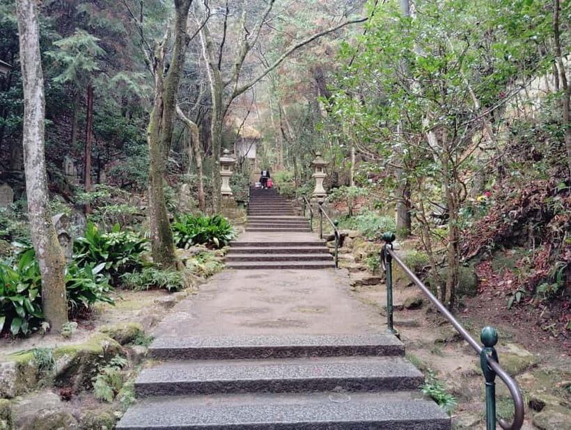 Hiroshima: Mitaki-ji Temple Guided Tour 1.5h - A Mountain Sanctuary in Hiroshima