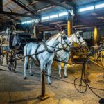Historic Village Herberton Family Pass (2A+2C) - What the Reviews Say