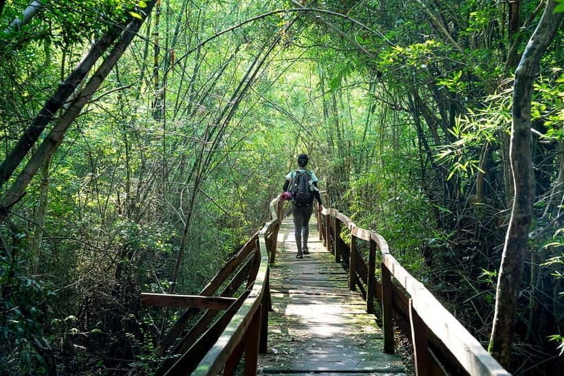 Ho Chi Minh: 2 Days Private Nam Cat Tien National Park - Detailed Breakdown of the Tour