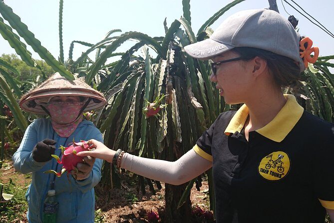 Ho Coc Beach - Nature Reserve and Dragon-fruit Farm trip with home-cooked lunch - What You’ll Love About This Tour