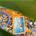 Hoan Kiem Lake: Pebble Stone Art Workshop by ChigiArt - What’s Included and What’s Not